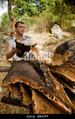 Collecting Cork in the Natural Park of the Cork Cortes de la Frontera ...
