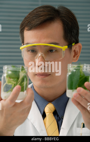 Chinese scientist examining medical samples in laboratory Stock Photo ...