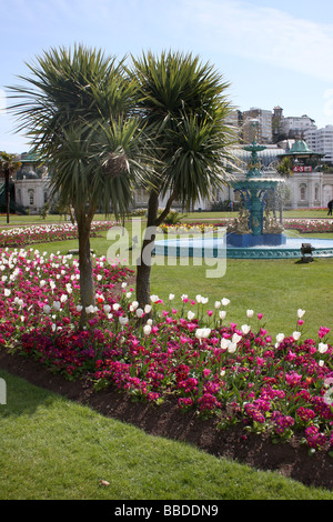 Palm trees in Torquay, Devon, England, UK Stock Photo - Alamy