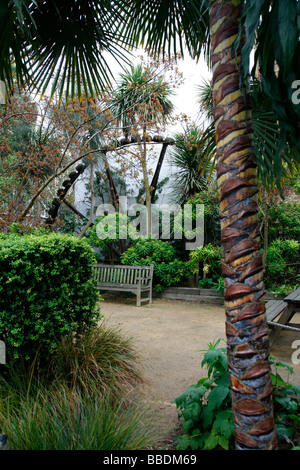 Bonnington Square, Vauxhall, London SW8 Stock Photo - Alamy