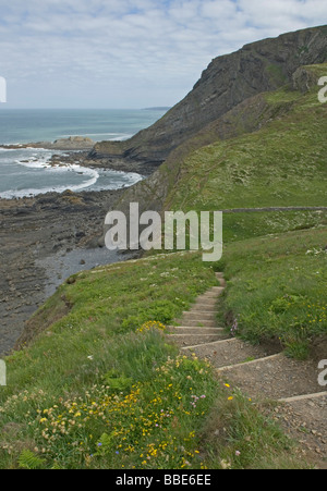 The north Cornwall coast near Morwenstow, with Higher Sharpnose Point ...