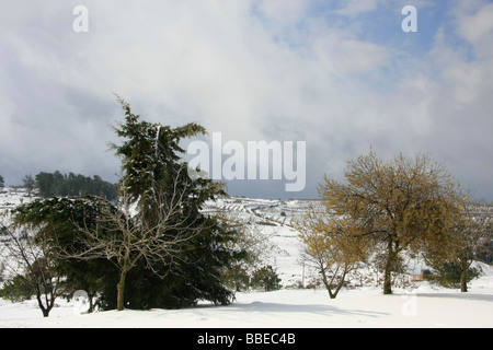 Judea snow in Gush Etzion Stock Photo - Alamy