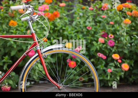 bicycle Handle red classic vintage in former beautiful on the road with ...