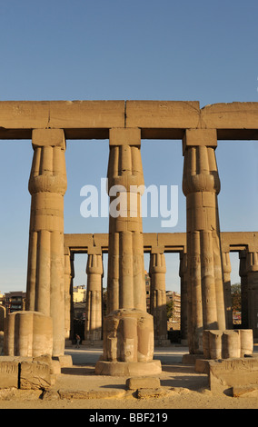 Architrave and capital of papyrus column, Great Courtyard of the Sun of ...