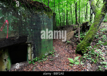Bunker in the Hurtgenwald - Hurtgen Forest, Huertgenwald, Hürtgenwald ...