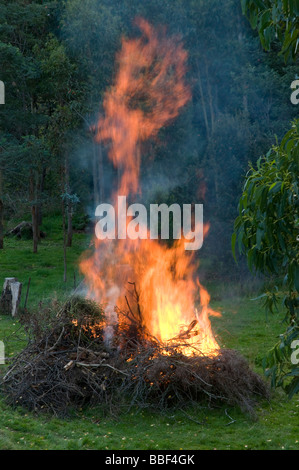 Garden bonfire backyard burn off Stock Photo - Alamy