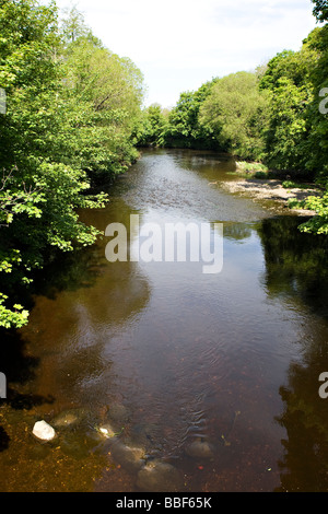River Roe Roe Valley Country Park County Londonderry Northern Ireland ...