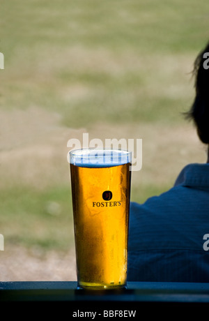 Pint of fosters lager Stock Photo - Alamy