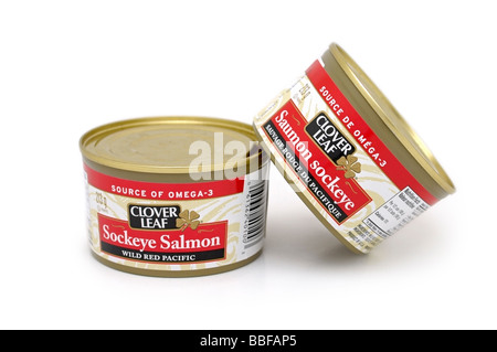 Tinned Sockeye Salmon Stock Photo - Alamy