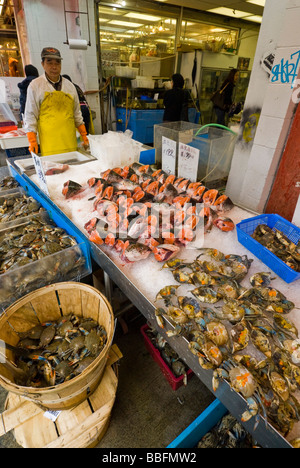 Seafood on shop display, Chinatown, Manhattan, New York City, USA. Live ...