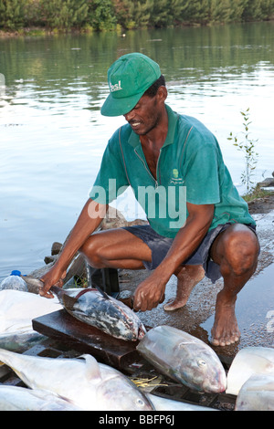 Fishermen sell freshly caught fish Stock Photo - Alamy