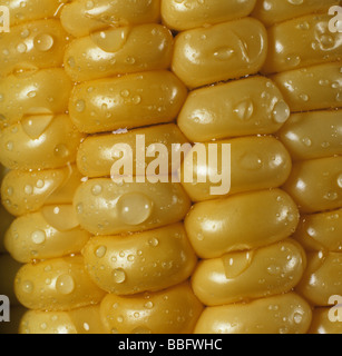 Sweetcorn sweet corn Stock Photo - Alamy