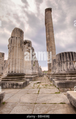 Ionic Columns, Didyma, Turkey, Temple of Apollo, Temple of Apollo Stock ...
