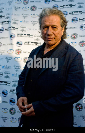 LOS ANGELES - MAY 29: Edward James Olmos at the In the Summers Premiere ...
