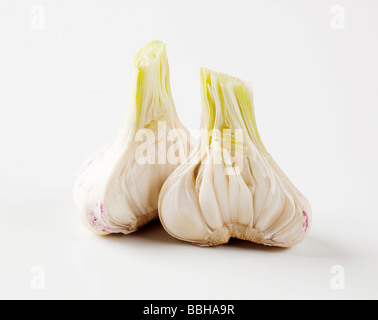 Cross section of a garlic bulb Stock Photo - Alamy