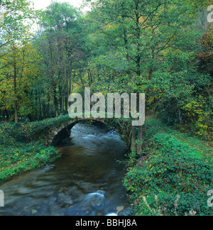 An old mossy bridge in a forest Stock Photo - Alamy