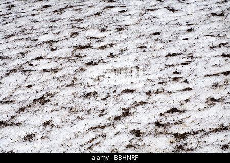 Close-up of snow melting during the thaw and shining in the sun on a ...