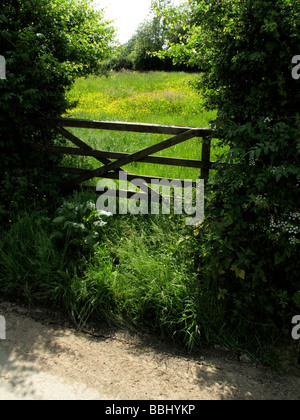 Wooden Farm Gate beyond a Field and Fallen Tree Branch. Powderham ...