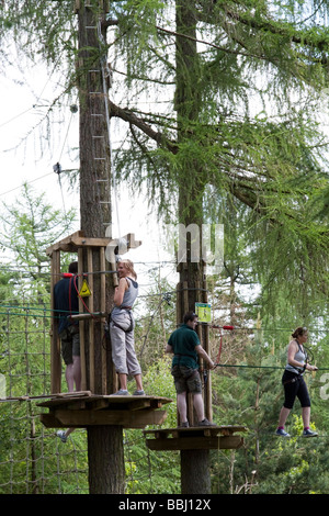Go Ape Outdoor Pursuits Course - Wendover Woods - Buckinghamshire Stock ...