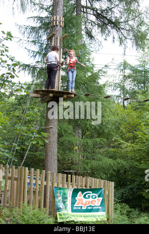 Go Ape Outdoor Pursuits Course - Wendover Woods - Buckinghamshire Stock ...