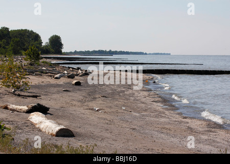 Polluted a beach at Lake Erie from above overhead top view nobody none ...