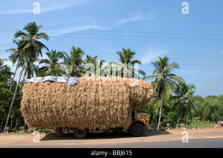 Overloaded truck with haystacks, India Stock Photo - Alamy