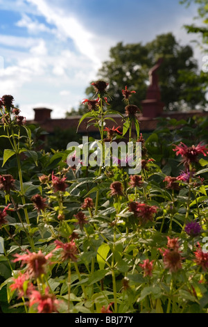 Skåne Farmstead, Skansen, Stockholm (Sweden Stock Photo - Alamy