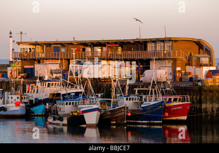 Fishing vessels at anchor in Bridlington Quay harbour, East Yorkshire ...