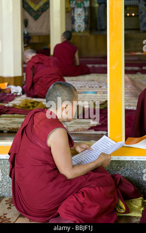 Buddhist monk reading the sacred texts. Tsuglagkhang Temple. McLeod ...