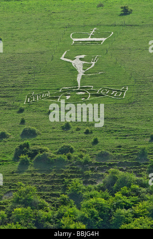 Royal Corps of Signals regimental badge emblem crest on a military ...