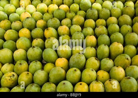 Fresh mango fruits on display in supermarket Chongqing China Stock ...