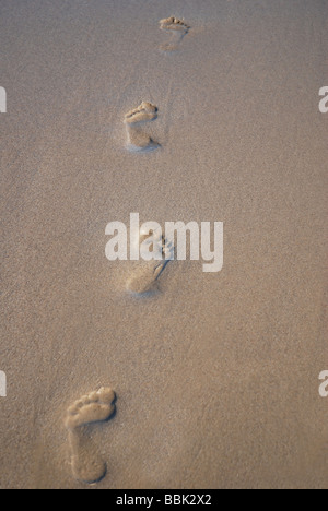 Footsteps in the sand leading down to the sea Stock Photo - Alamy