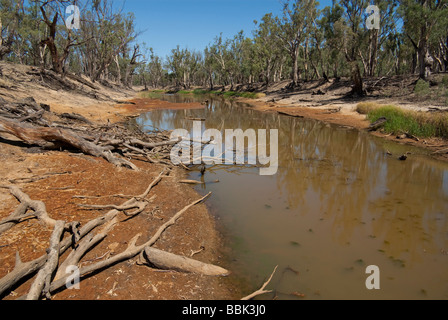 Environmental damage in Australia's Wakool River Stock Photo - Alamy
