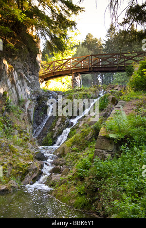 A rustic wooden bridge over a cascading river surrounded by lush ...