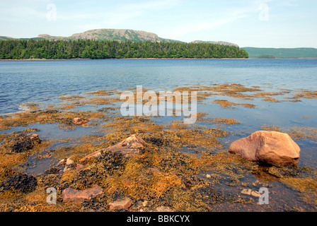 Swift Current Newfoundland Canada Stock Photo - Alamy