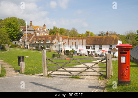 East Dean Village Green and the Tiger Inn, East Sussex, England, UK, GB ...