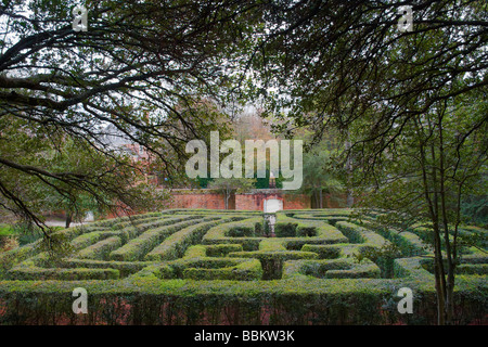 The American holly Ilex opaca hedge maze in the gardens adjacent to the ...