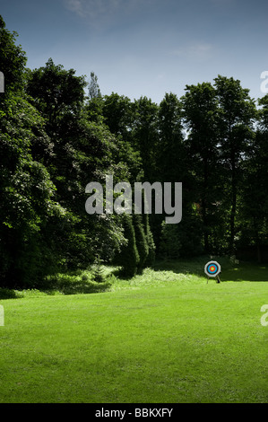 Target for archery with arrows in forest Stock Photo - Alamy