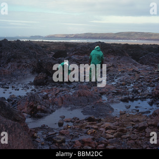Oil Clearance following Sea Empress oil spill. Pembrokeshire 1996 Stock ...