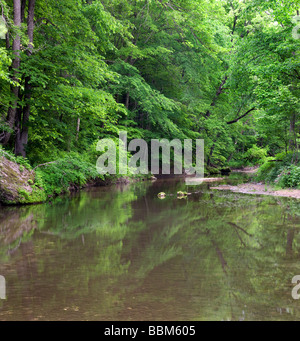 Richmond Spring, Backbone State Park, Iowa Stock Photo - Alamy