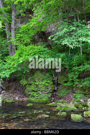 Richmond Spring, Backbone State Park, Iowa Stock Photo - Alamy