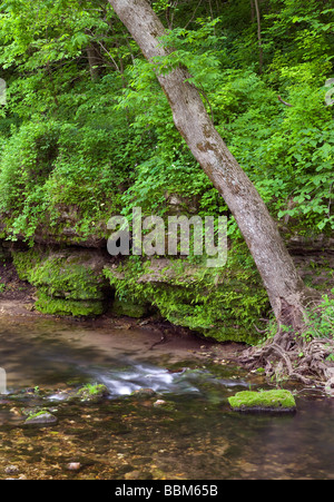 Richmond Spring, Backbone State Park, Iowa Stock Photo - Alamy