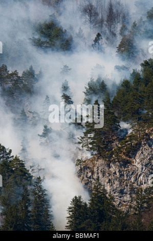 Blazes burn trees during a wildfire in the village of Theriano near ...