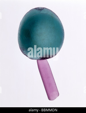Vertical close-up of globular purple Allium blooms with tall green ...