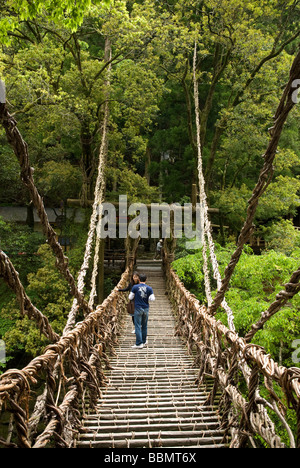 Iya valley and Kazurabashi vine bridge, Tokushima, Shikoku, Japan Stock ...