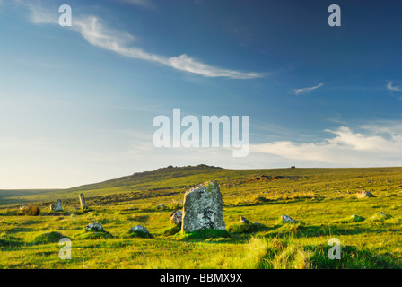 A section of the Merrivale stone rows Dartmoor National Park Devon ...