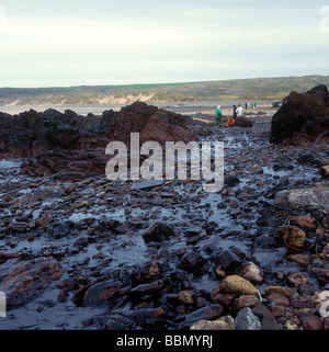 Oil Clearance following Sea Empress oil spill. Pembrokeshire 1996 Stock ...