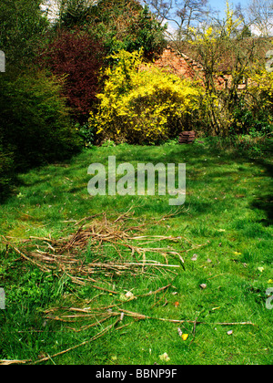 Untidy garden back yard Stock Photo - Alamy