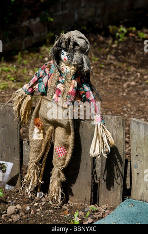 Chicken scarecrow in vegatable patch Stock Photo - Alamy