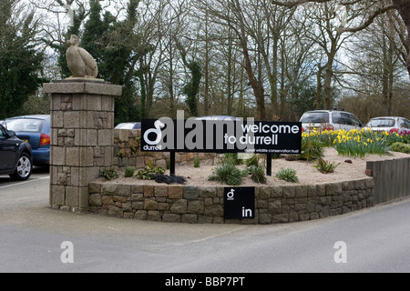 Durrell Wildlife Conservation Trust dodo dodo Stock Photo - Alamy